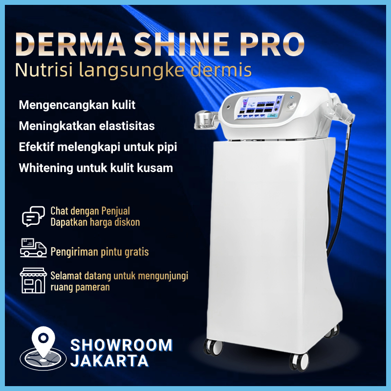 Jual Dermashine pro alat microneedling RF microneedle Mesotherapy ...