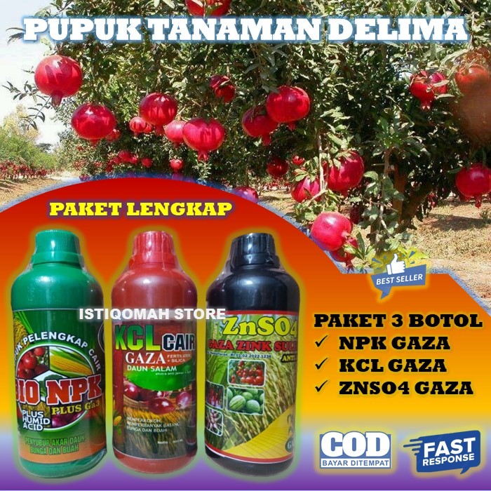 Jual Pupuk Tanaman Delima Agar Berbuah Lebat [PAKET 3 BOTOL GAZA] Pupuk ...