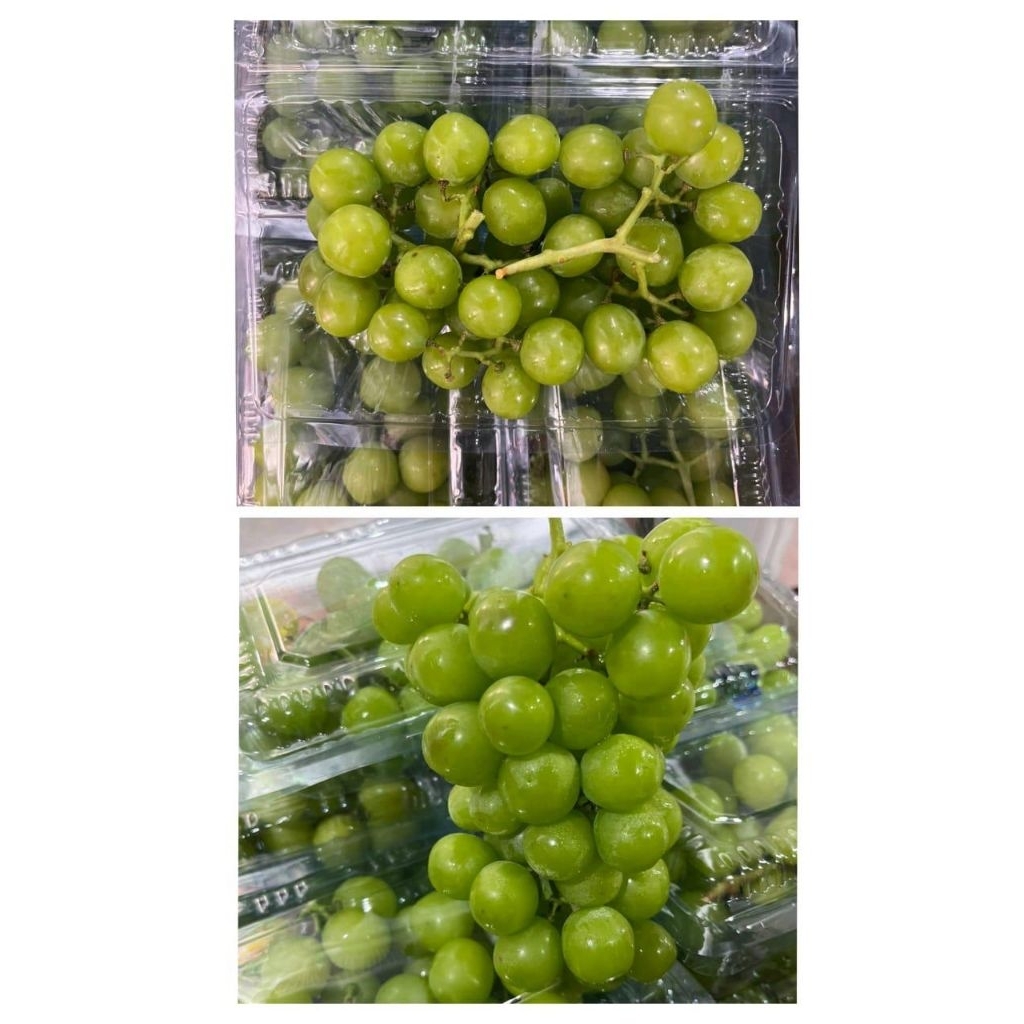 Jual Anggur Shine Muscat 500 gram | Shopee Indonesia