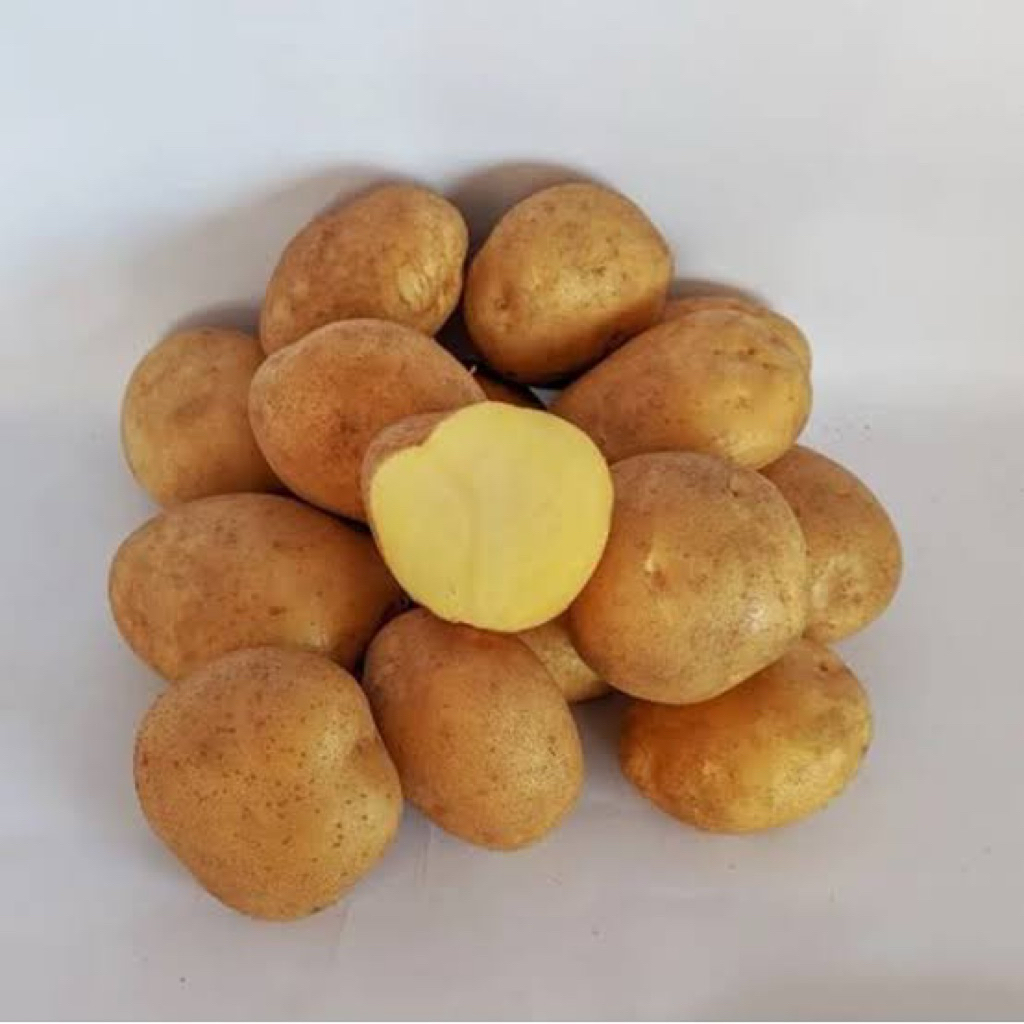 Jual Kentang ukuran sedang / DN 1kg | Shopee Indonesia