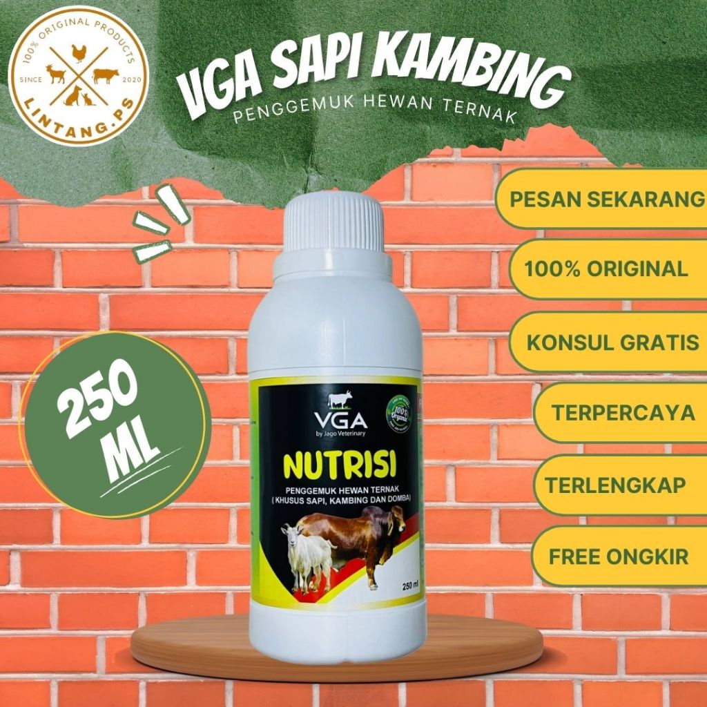 Jual VGA Nutrisi Sapi - VGA Sapi - Nutrisi VGA - VGA Sapi - VGA Nutrisi ...