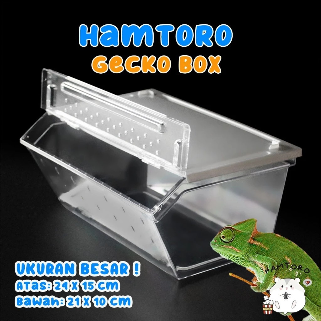Jual Hamtoro Gecko Box Kandang Besar Feeding Hamster/Reptil/Gecko H8 ...