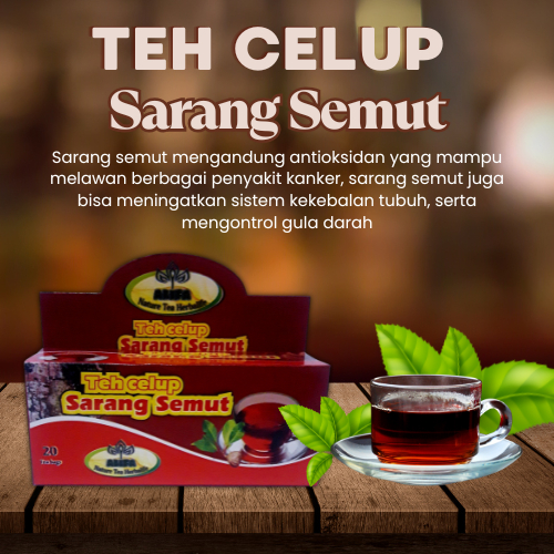 Jual TEH CELUP SARANG SEMUT ALIFYA 20 SACHET | MEMBANTU MENINGKATKAN ...