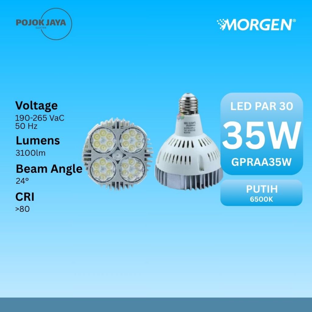 Jual Morgen LED PAR 30 Grand Series - Lampu Sorot Toko Panggung Pameran ...