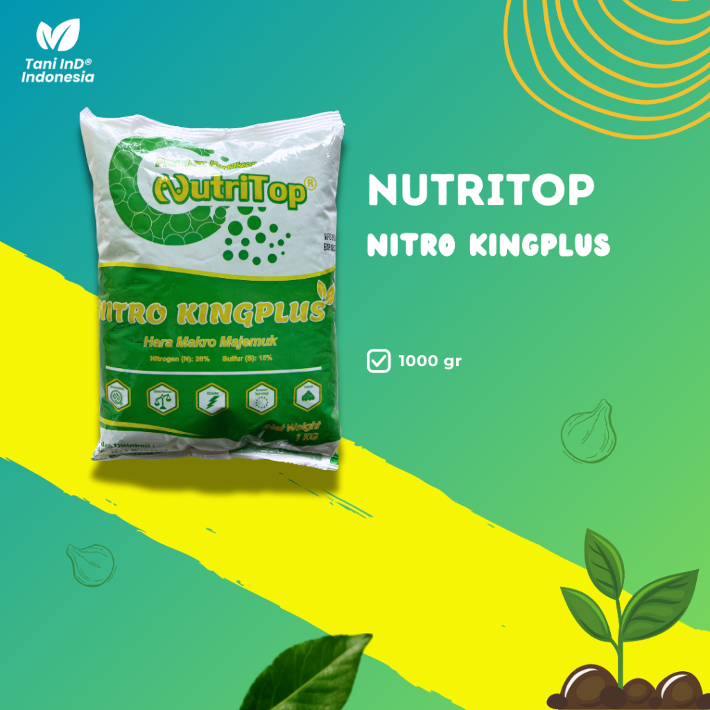 Jual Nutritop Pupuk Nitro KingPlus 1000 gr untuk mempercepat ...