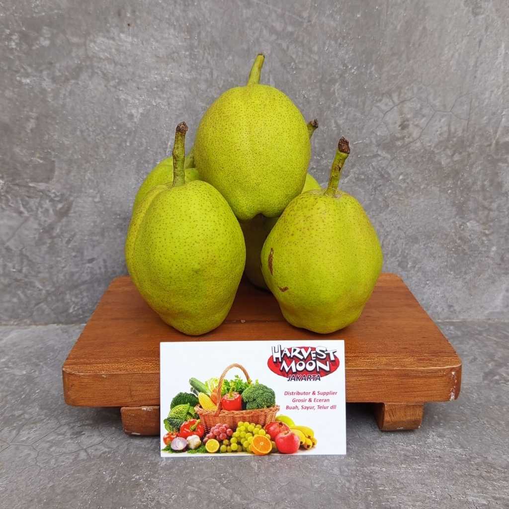 Jual HarvestMoon Pear Xiang Lie Per Kg | Shopee Indonesia