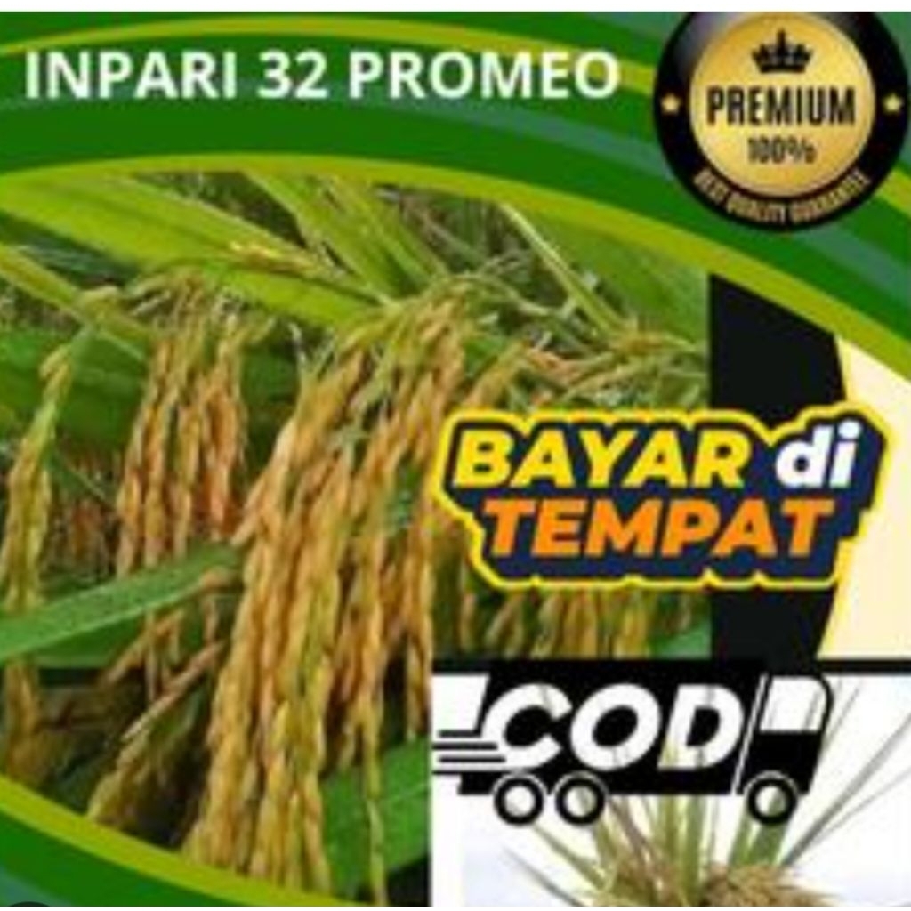 Jual Benih Bibit padi inpari 42 kemasan 1Kg | Shopee Indonesia