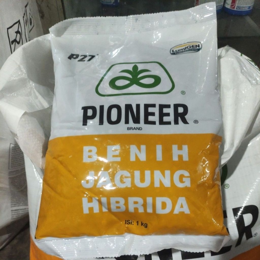 Jual Benih jagung P27 lumigen pioneer 1 kg | Shopee Indonesia