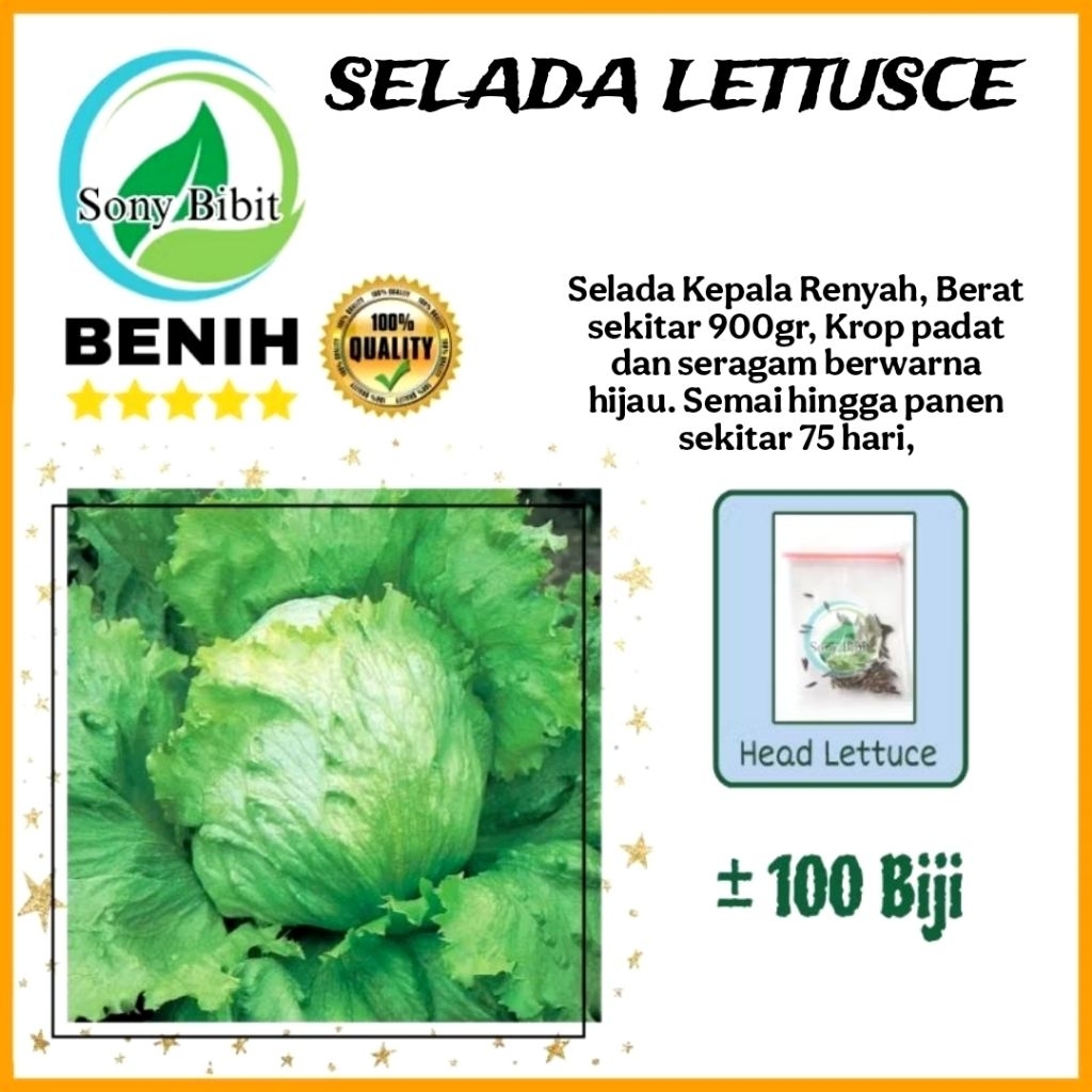 Jual 100 Biji Benih Selada Heat Lettuce Benih Ekonomis | Shopee Indonesia