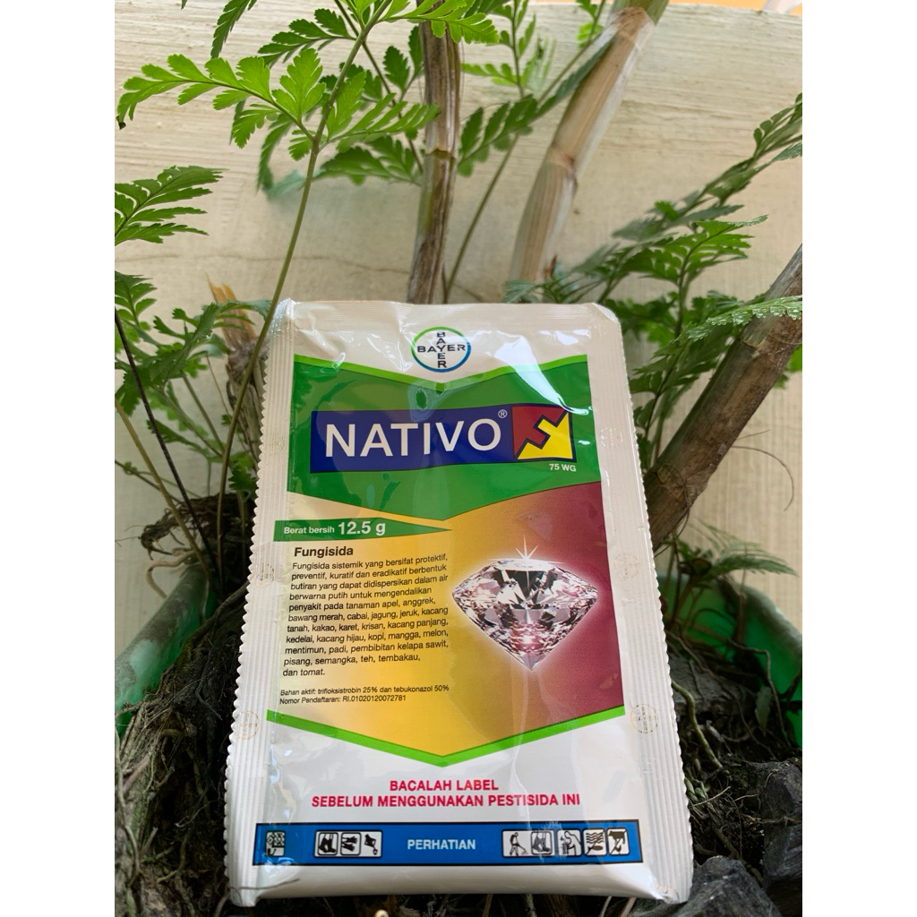 Jual NATIVO 12,5GRAM 75WG fungisida sistemik granul bayer (ORIGINAL 100 ...