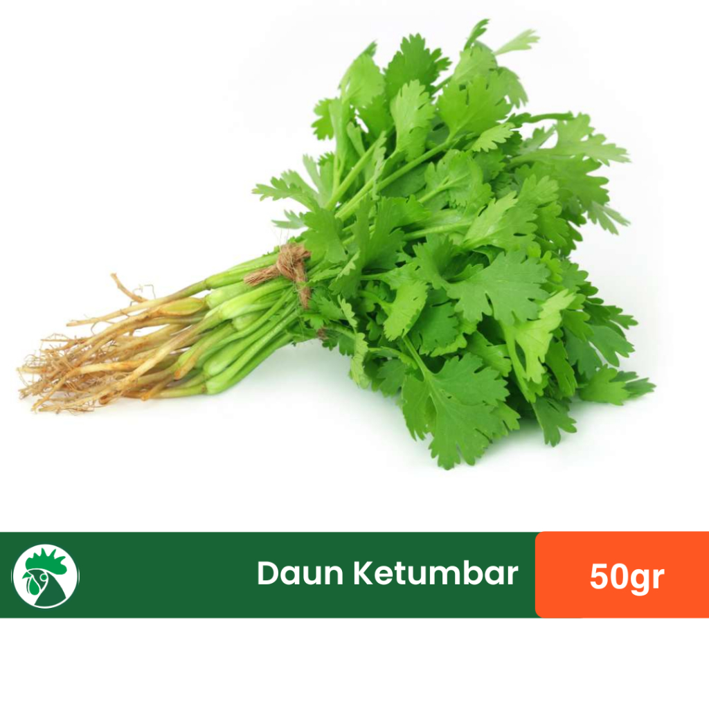 Jual Daun Ketumbar Original 50gr | Shopee Indonesia