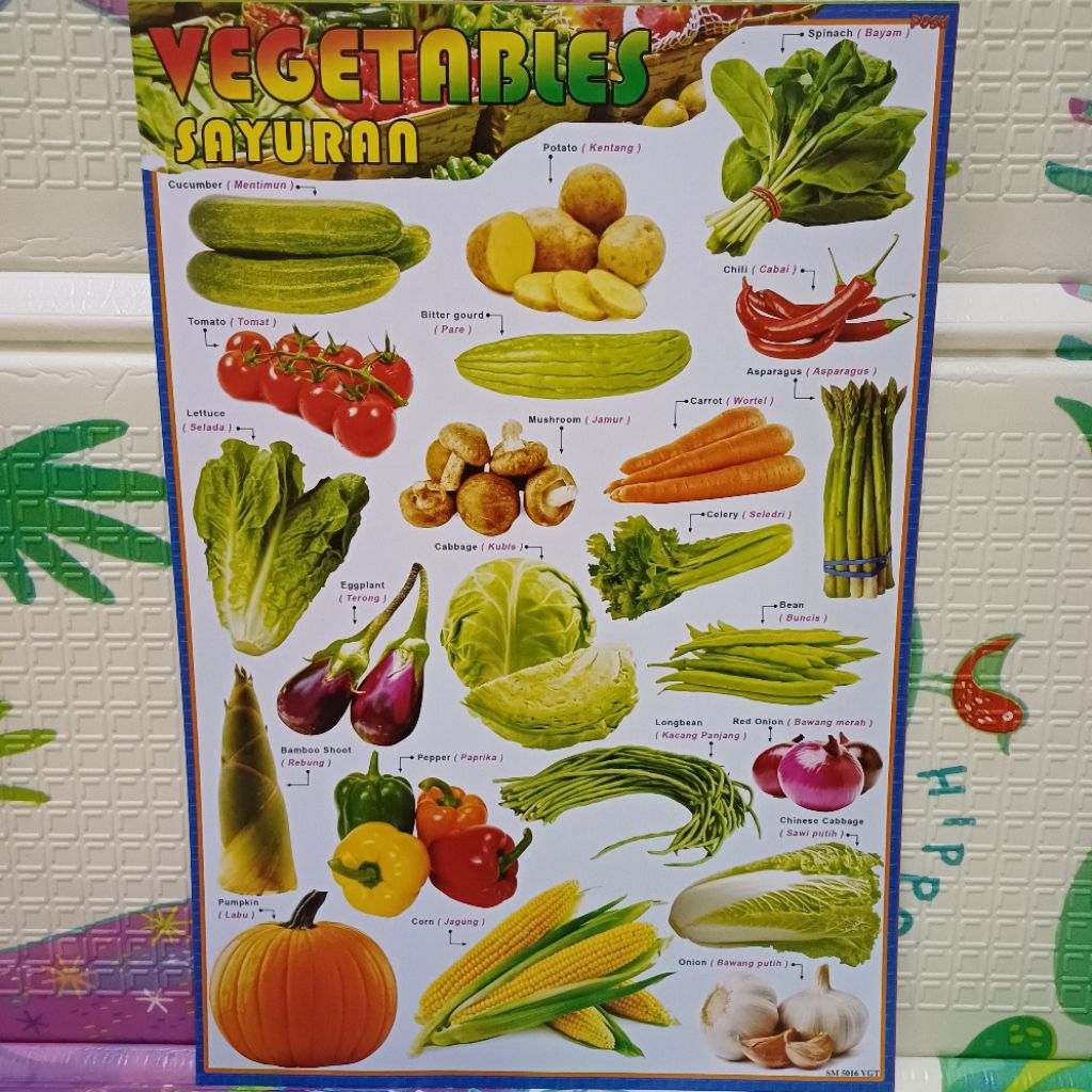 Jual Poster Edukasi Anak Vegetables Sayuran Warna Gambar sayur mayur ...