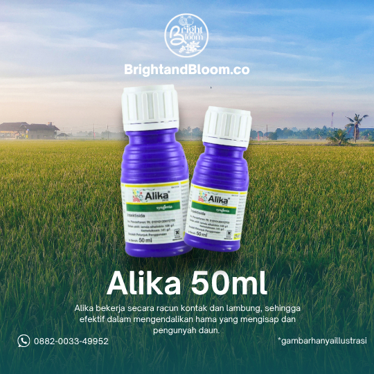 Jual Alika - 50 ml (Insektisida Alika 247 ZC) | Shopee Indonesia