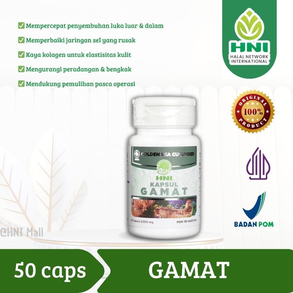 Jual Gamat Kapsul HNI – Ekstrak Teripang Emas Asli untuk Regenerasi Sel ...