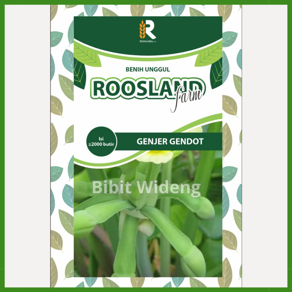 Jual KEMASAN PREMIUM: 2.000 BENIH GENJER GENDOT SAYUR ORIGINAL BIBIT ...