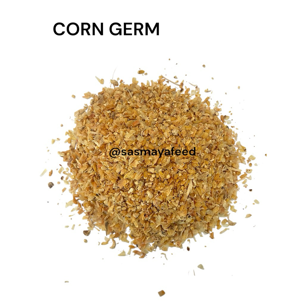 Jual Corn Germ | Bahan Baku Pakan Ternak | Kemasan 5 Kg | Shopee Indonesia