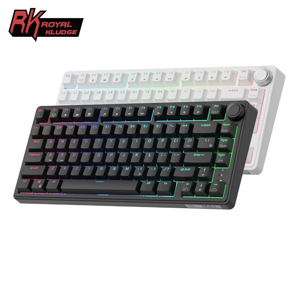 Jual RK Royal Kludge RKR75 White 81 Key Gasket Wired Mechanical ...