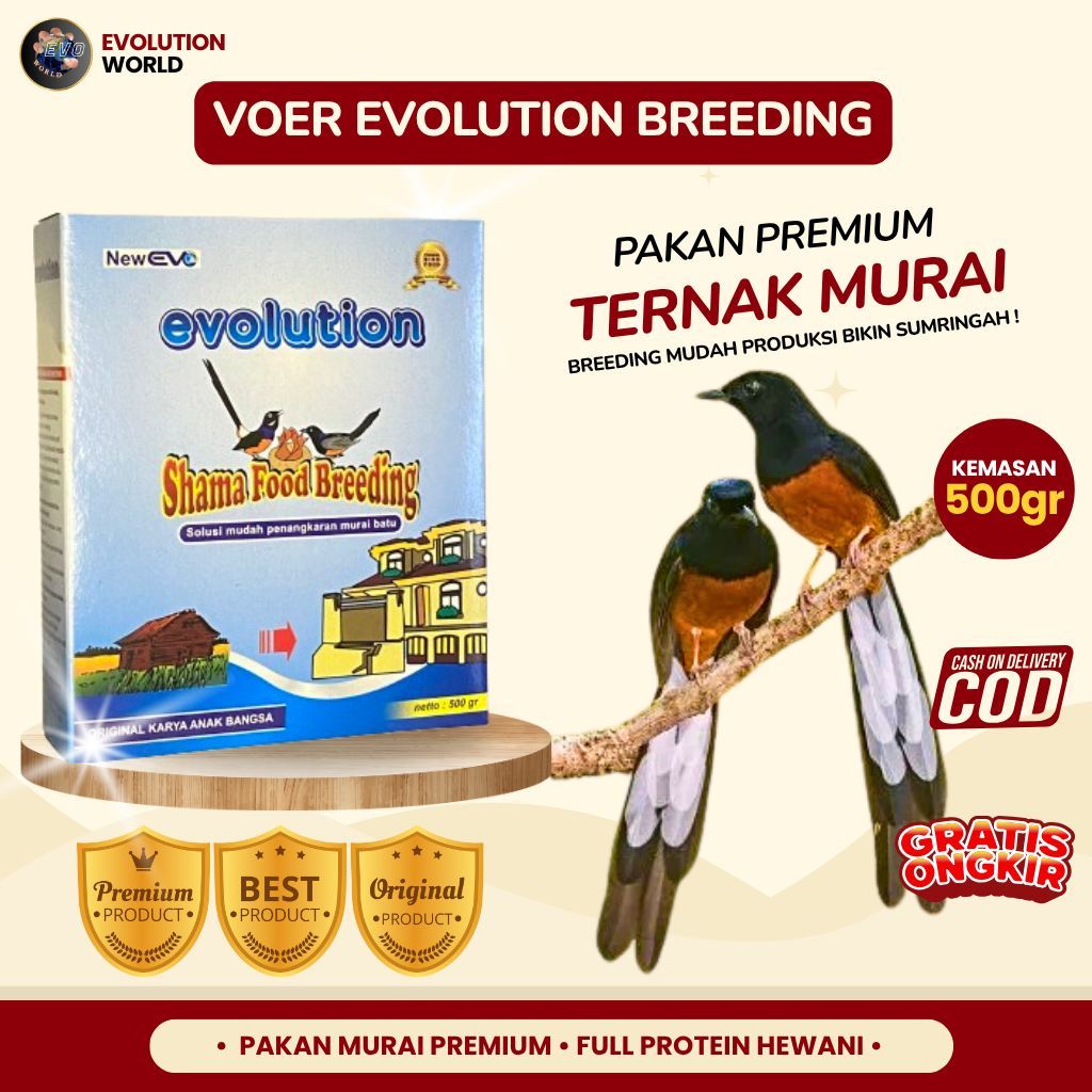 Jual VOER BURUNG MURAI I VOER EVO BREEDING I VOER HARIAN TERNAK MURAI I ...