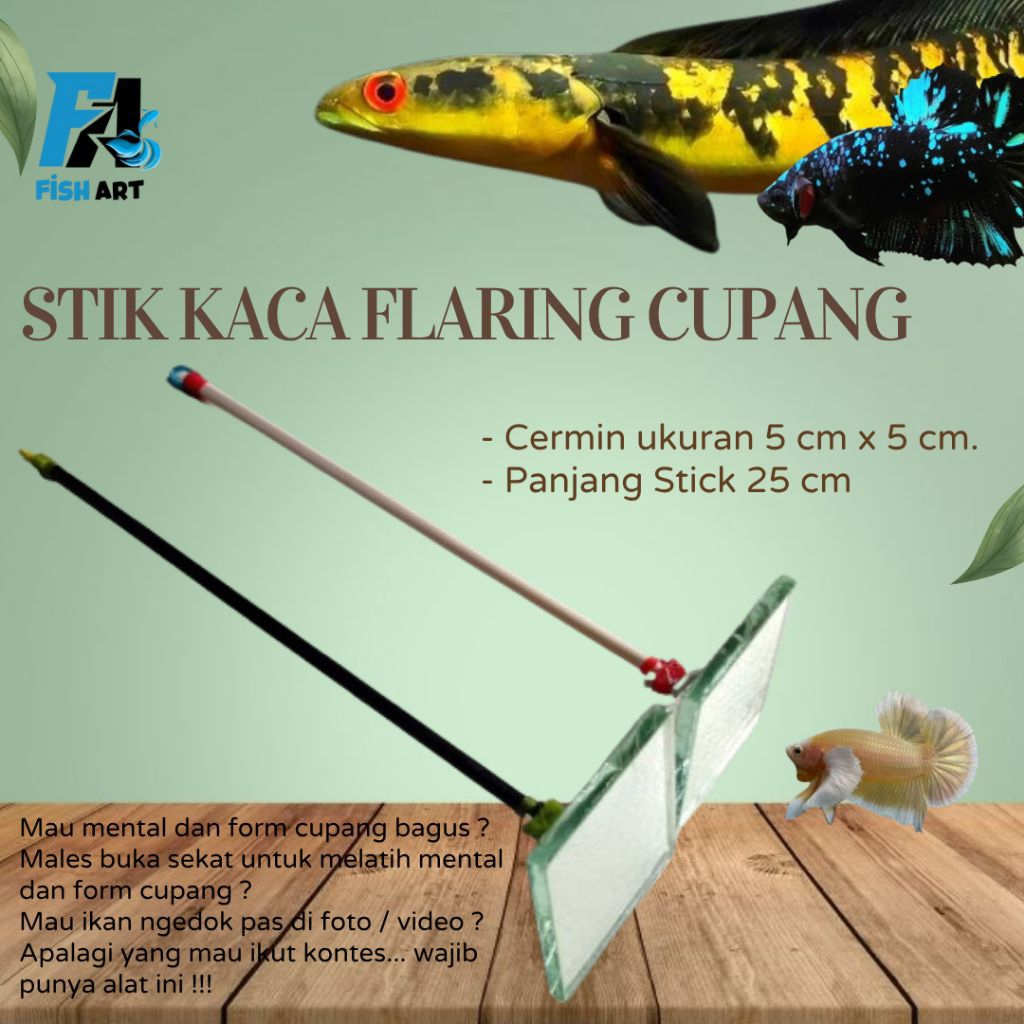 Jual STICK KACA MENTAL IKAN CUPANG | Shopee Indonesia