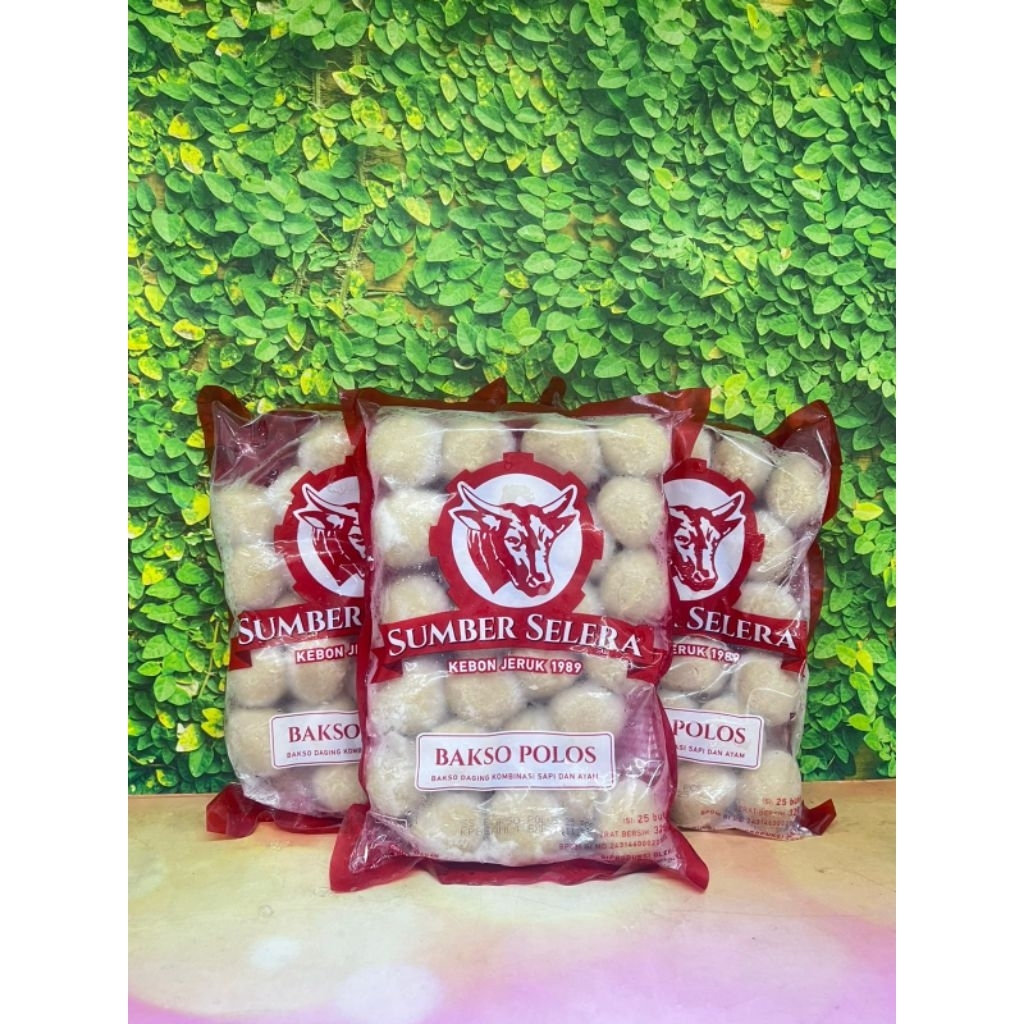 Jual Sumber Selera Bakso Polos Isi 25 | Shopee Indonesia