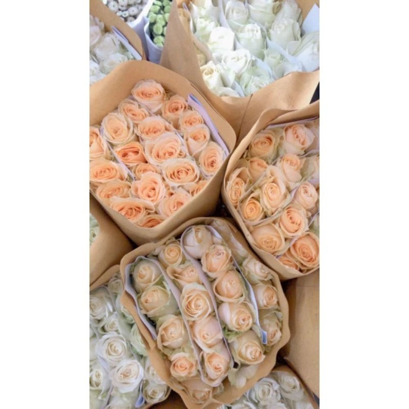 Jual Bunga Potong Mawar Malang Asli Fresh Wangi Isi 20 Tangkai Bunga ...