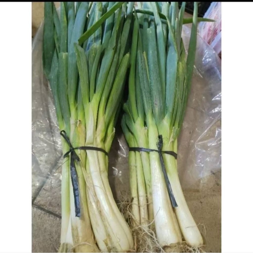 Jual Bawang Prei Terlengkap & Harga Terbaru Mei 2026 | Shopee Indonesia