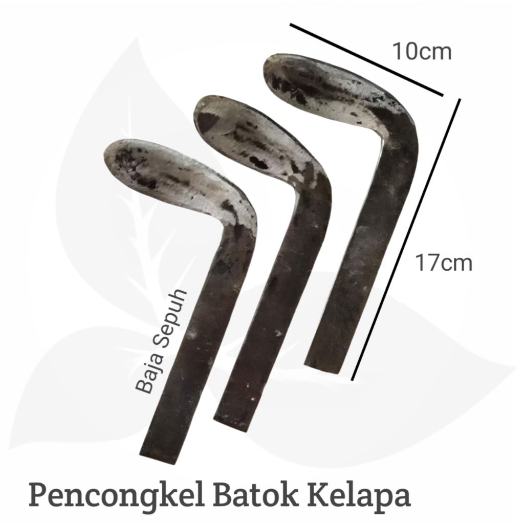 Jual Congkelan Batok Kelapa Alat Congkel Kulit Keras Kelapa Bahan ...