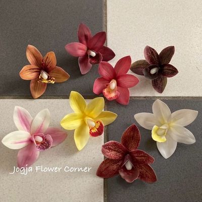 Jual Kelopak Anggrek Mini Kamboja Bunga Frangipani Aesthetic Bunga hias ...