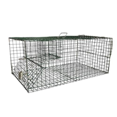 Jual PROMO JEBAKAN TIKUS BAHAN KAWAT, PROMO JEBAKAN HAMA TIKUS, PROMO ...