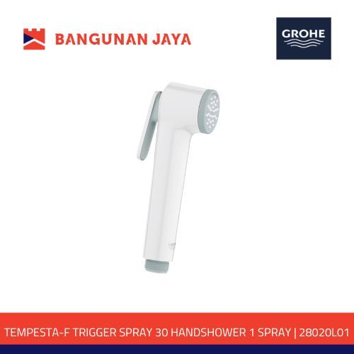Jual GROHE KEPALA JET WASHER PUTIH BIDET CEBOK KLOSET | 28020L01 ...