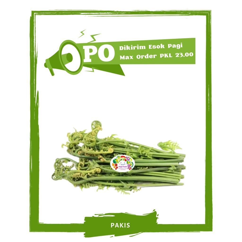 Jual Sayur Pakis / Pakis Menir / Sayur Segar PO Mallahrizwa | Shopee ...