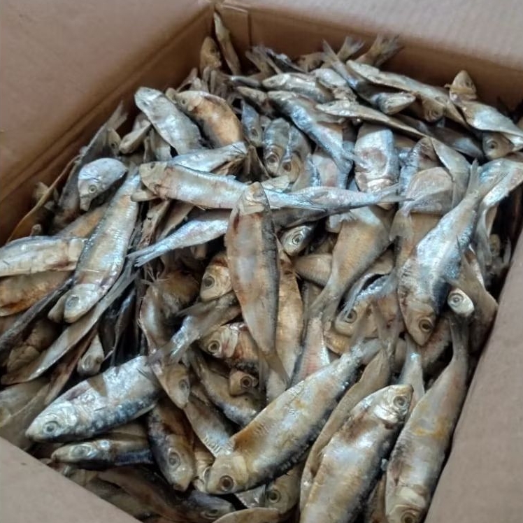 Jual IKAN TANJAN ASIN KERING 1 ONS (100 GRAM) | Shopee Indonesia