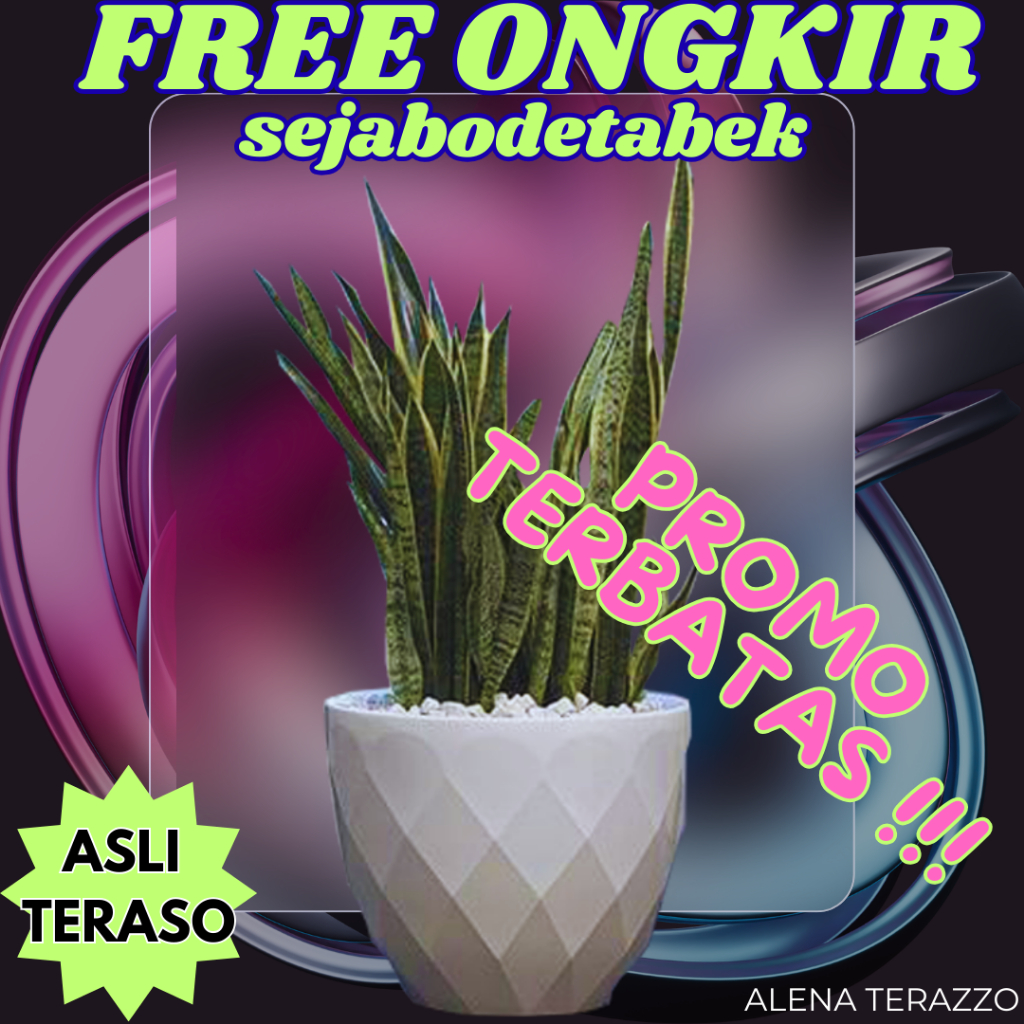 Jual Pot Teraso Premium Minimalis | Pot Tanaman Terrazzo Handmade ...