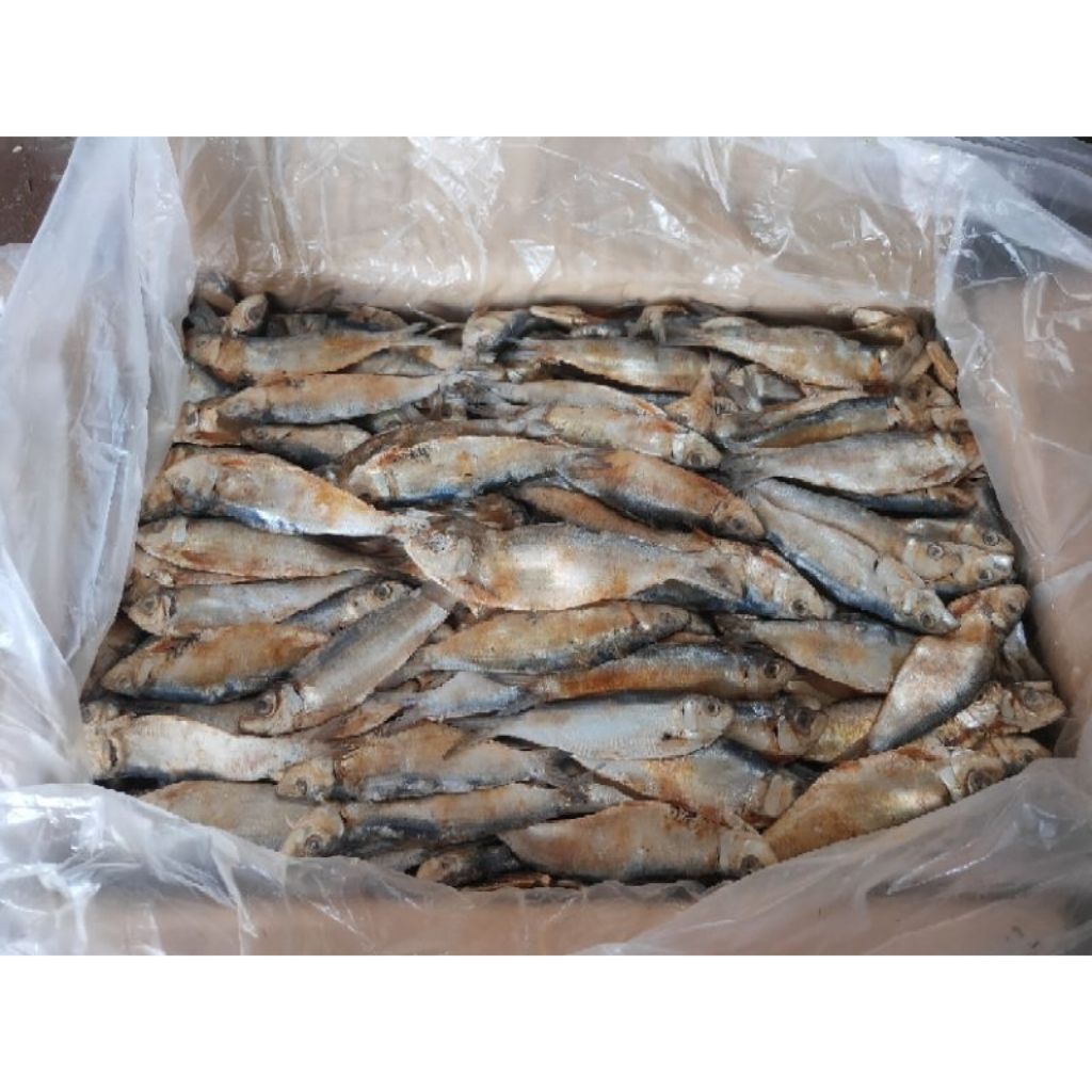 Jual IKAN ASIN TANJAN REBUS 1KG | Shopee Indonesia