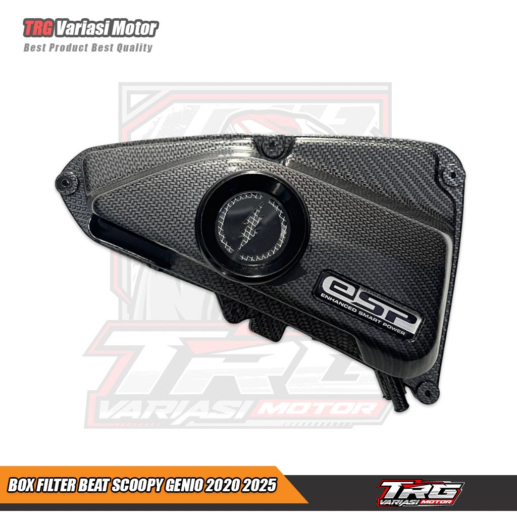 Jual Box Filter Beat Deluxe Tutup Box Filter Beat Deluxe Carbon PNP ...