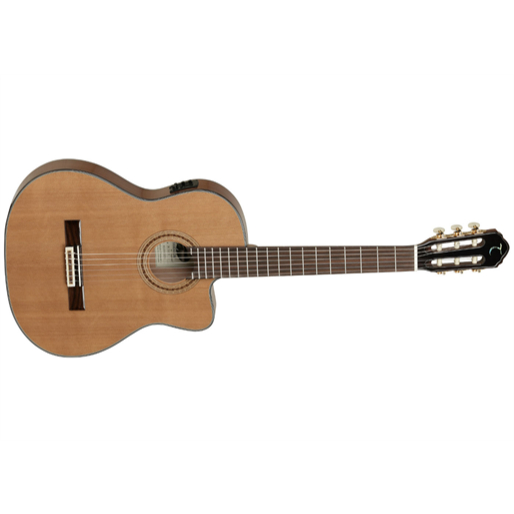 Jual GITAR ACOUSTIC AEG TANGLE WOOD TW TLC-E READY 1 PCS ORIGINAL ...