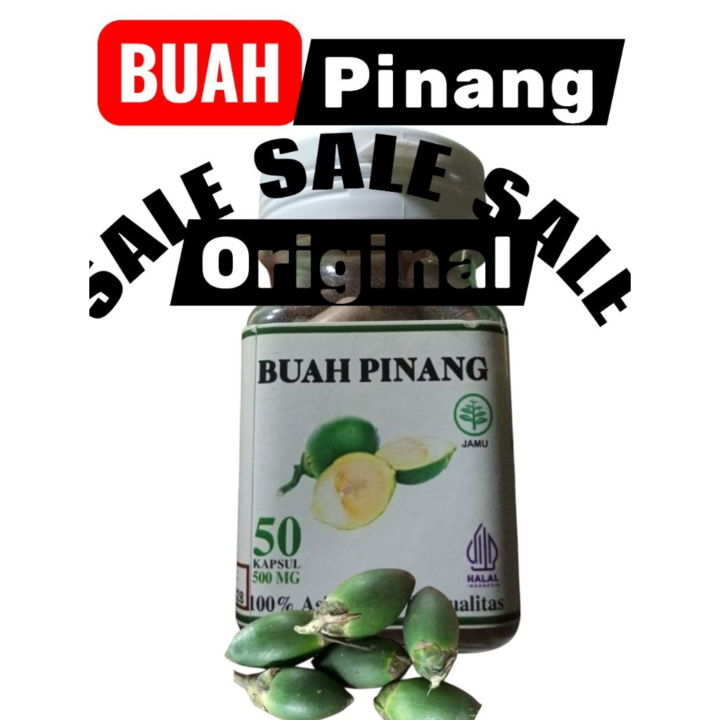 Jual buah pinang muda 50 pcs | Shopee Indonesia