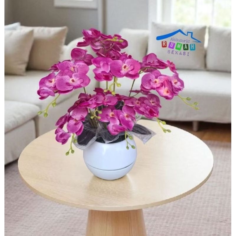 Jual Buket bunga anggrek 8 cabang model sejajar dengan pot bola ...
