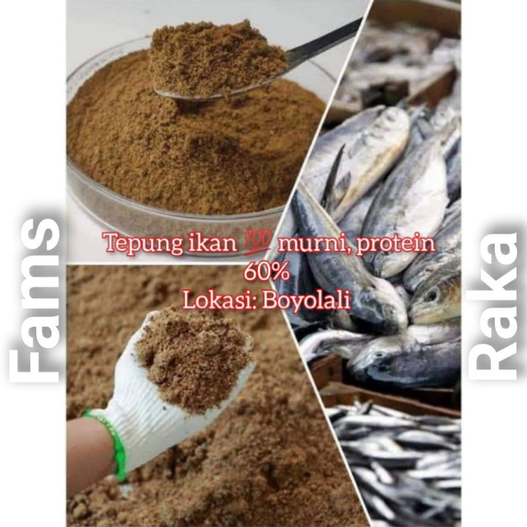 Jual tepung ikan protein Tinggi tepung ikan protein 60% | Shopee Indonesia