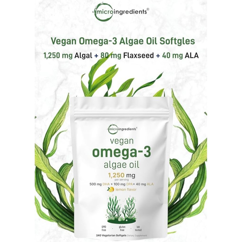 Jual Micro Ingredients Vegan Omega 3 Algae Oil, 240 Veggie Softgels ...