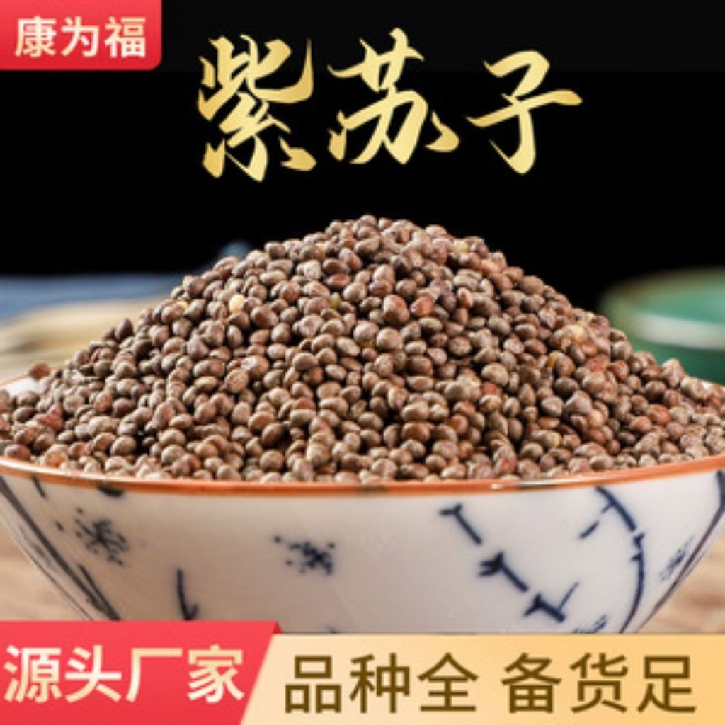Jual 100gr Herbal Zi Su Zi Jaminan Premium Grade Cultivated Purple ...