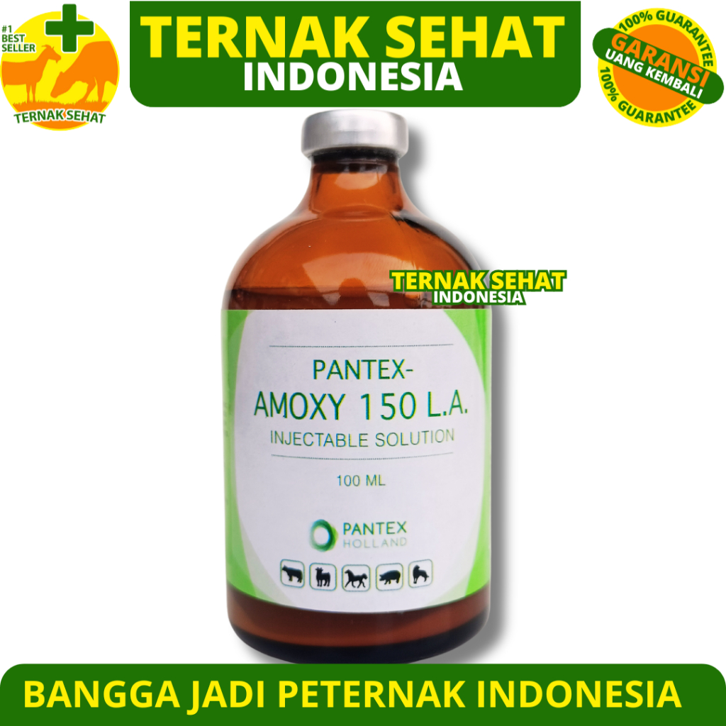 Jual PANTEX AMOXY LA 100ML - Obat Antibiotik Spektrum Luas Long Acting ...