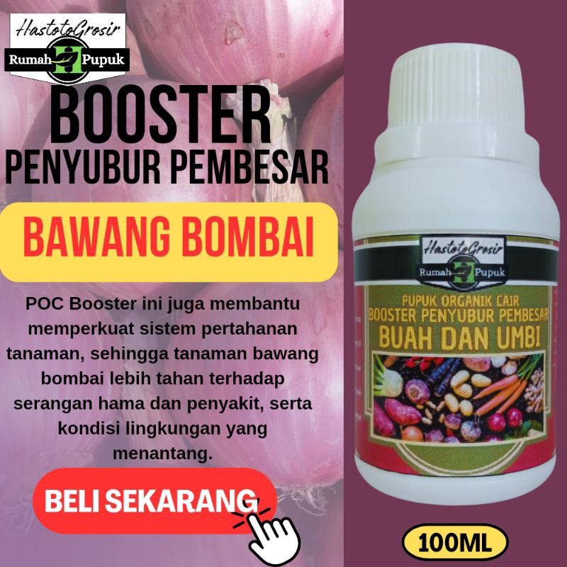 Jual Pupuk Cair bawang bombay Cepat Besar ,Booster Penyubur, Pemacu ...