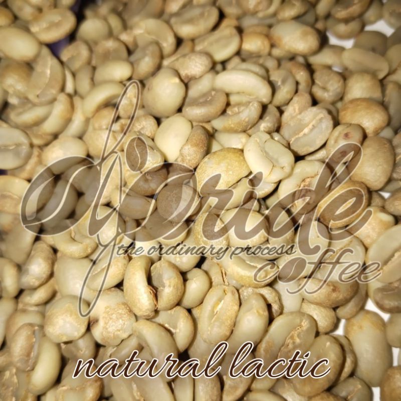 Jual Biji Kopi Arabica/Greenbean Arabica Natural Lactic Specialty 1kg ...