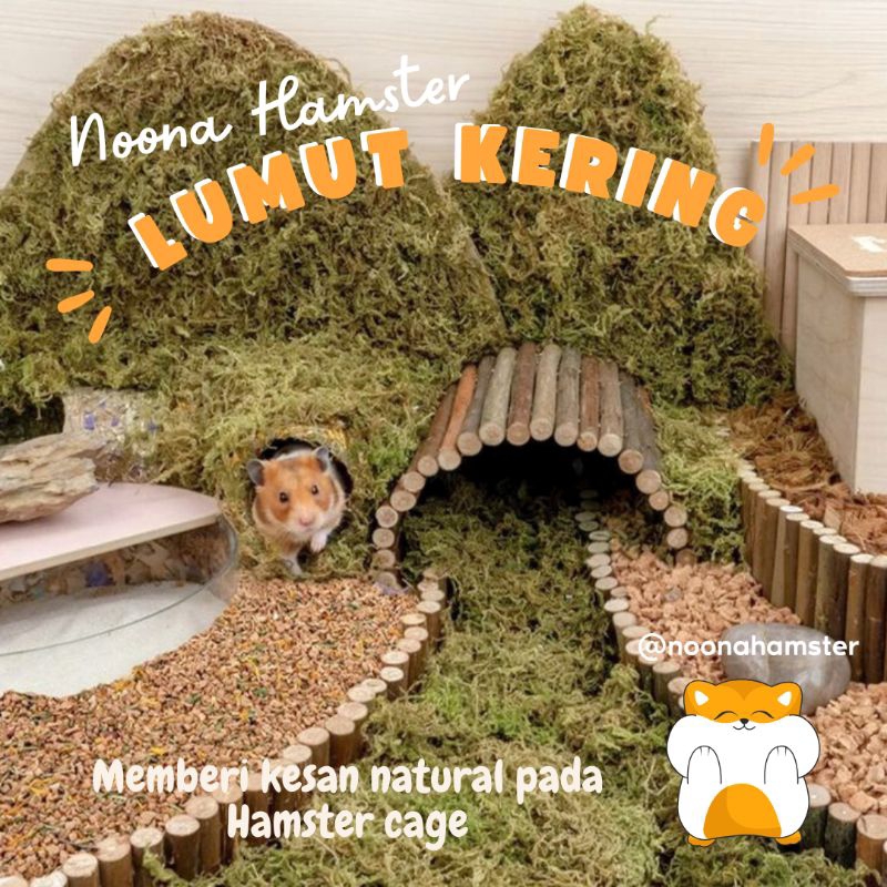 Jual LUMUT KERING COCOK UNTUK PENGHIAS KANDANG HAMSTER | Shopee Indonesia