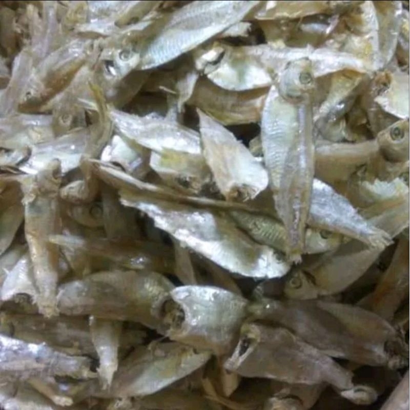 Jual Ikan Hase Hase / ikan Perak / ikan Keresek mentah 500gr | Shopee ...