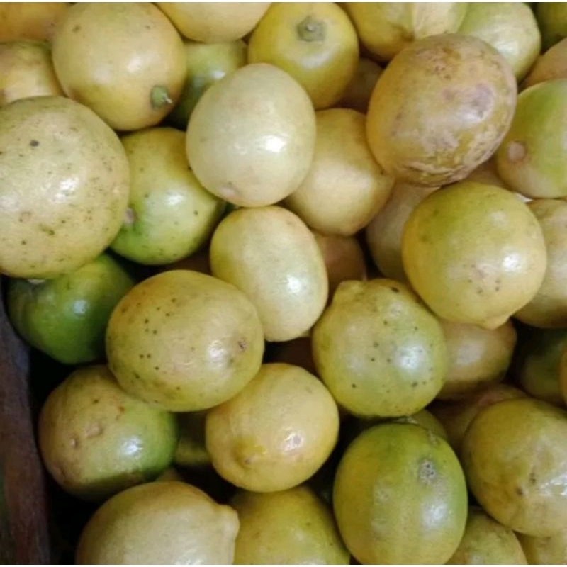 Jual Jeruk Lemon Lokal Segar 500gr | Shopee Indonesia