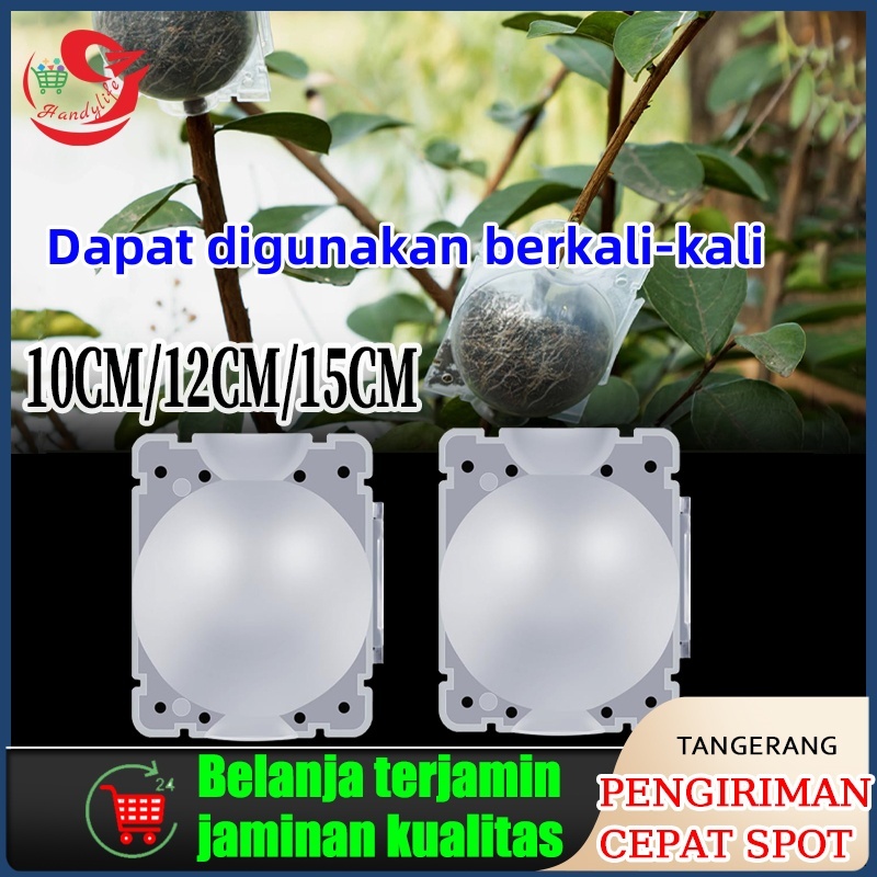 Jual Bola Cangkok Bening Alat Cangkok Tanaman Model Bola Pohon ...