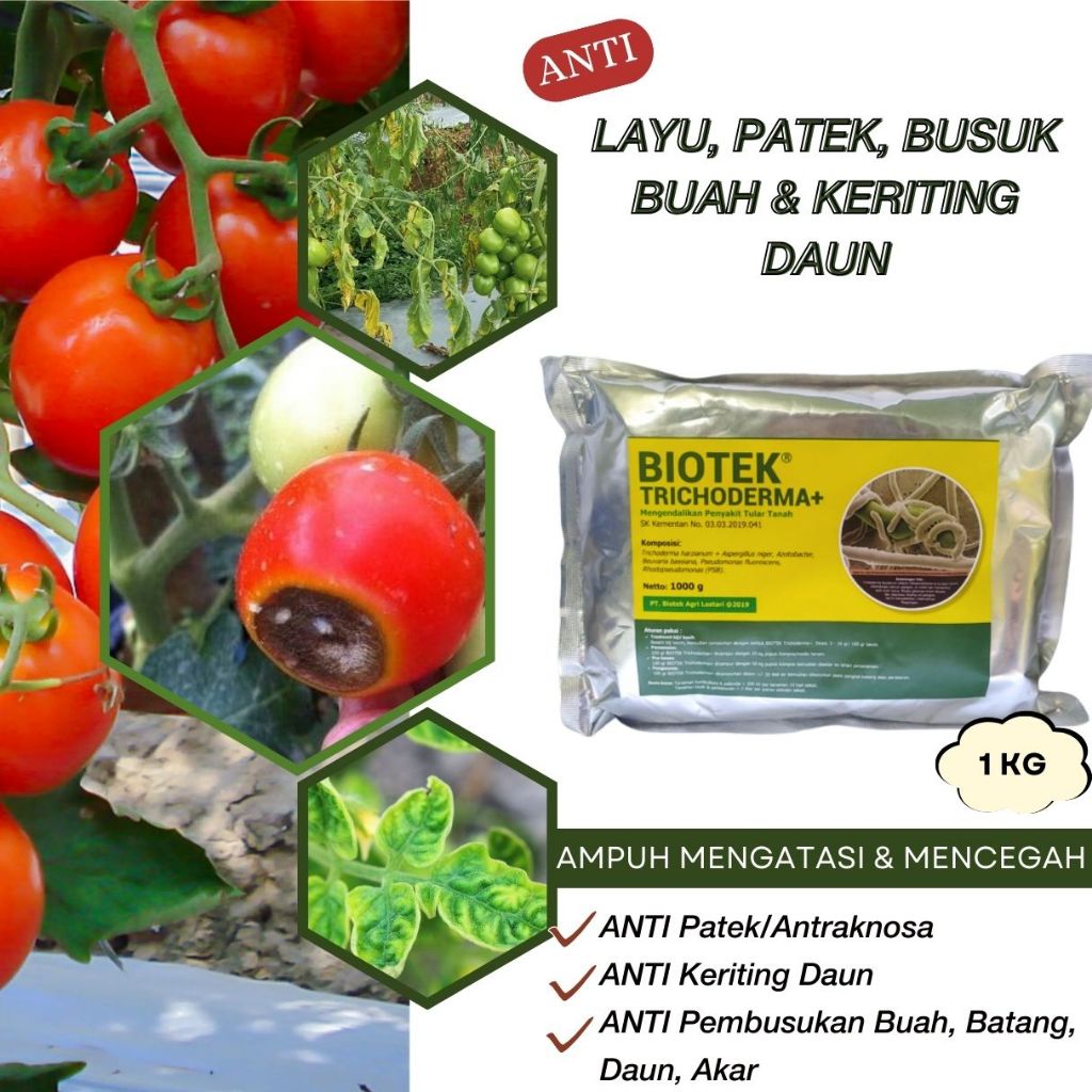 Jual Tricoderma Fungisida Pembasmi Jamur Tanaman, Trichoderma Pencegah ...