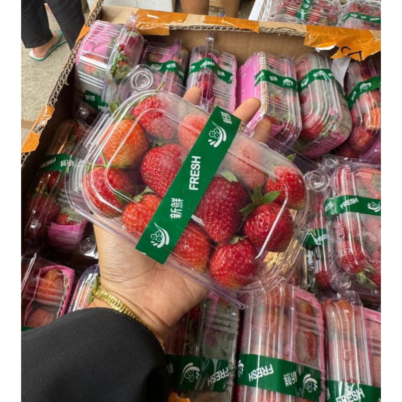 Jual STROBERI KOTAK 250GRAM CAKEP CAKEP | Shopee Indonesia